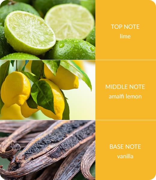 2 Wick Ellipse Candles – Lemon Bliss – Anushka's Gift Site